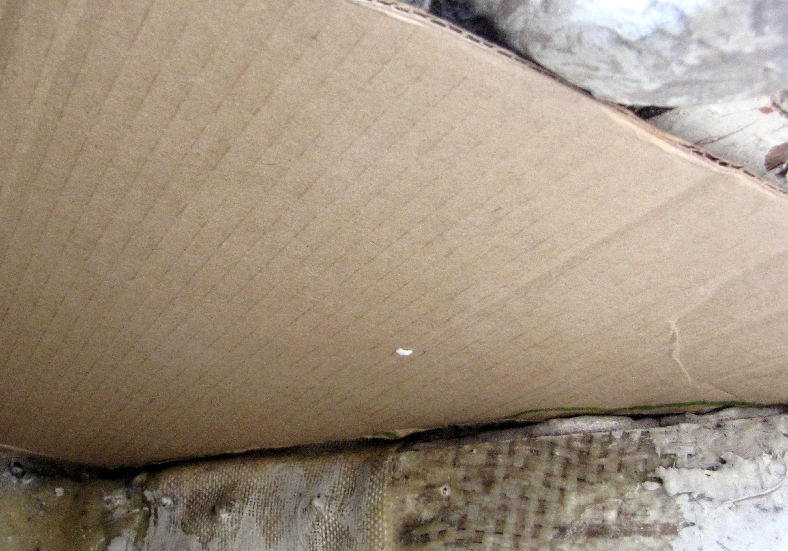 Catalina Anchor Locker and V-Berth | Martin J. Laight